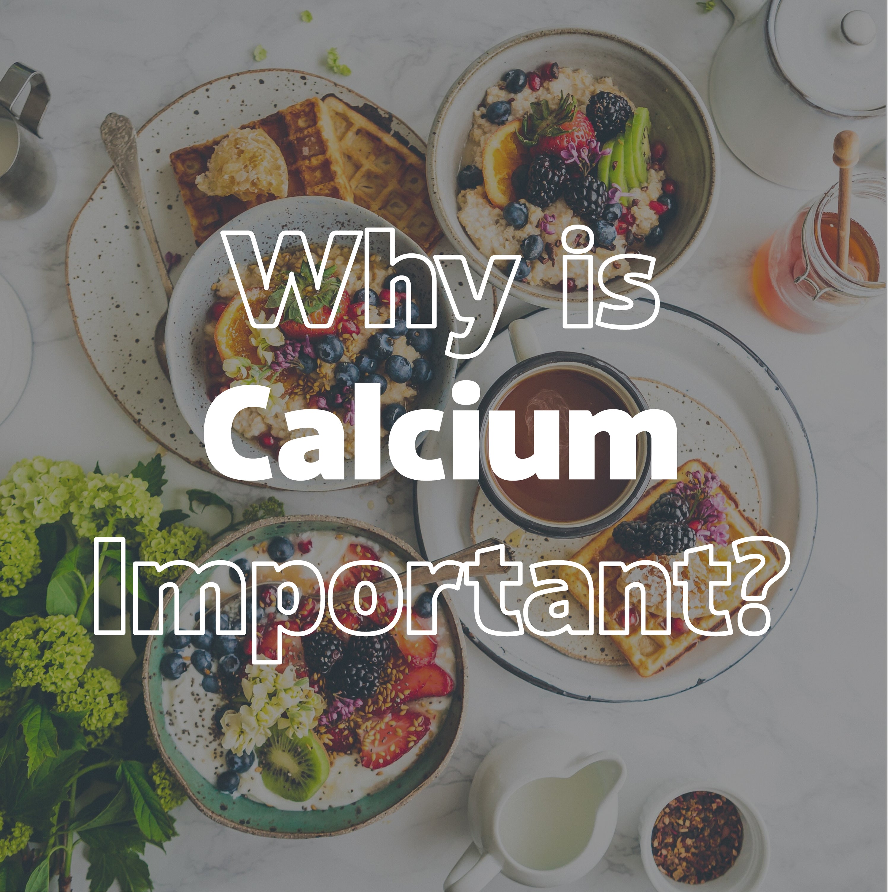 Why is Calcium Important? – Slate Milk